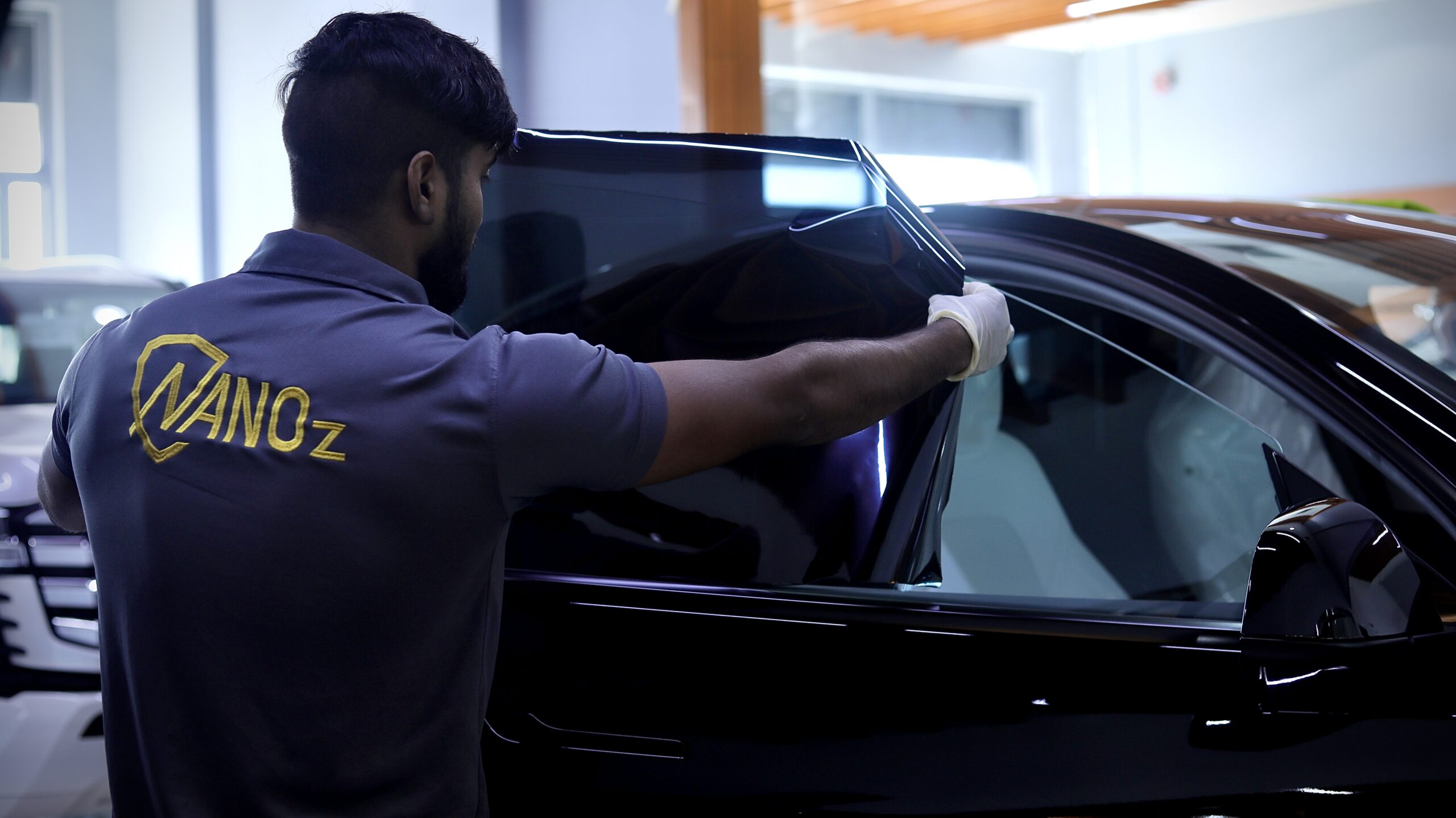 Nano Tinting - Nanoz